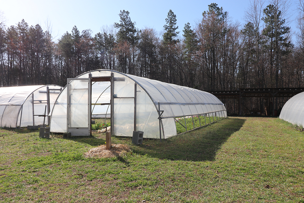 A Visit to Wild Hare Farm - Weaver Street Market