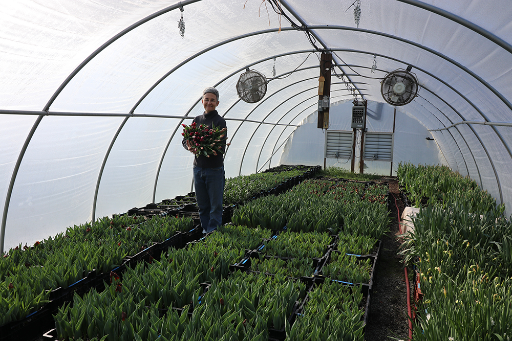 A Visit to Wild Hare Farm - Weaver Street Market